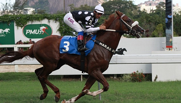 Na semana do GP Brasil de turfe, PMU Brasil relembra sua rica história ...