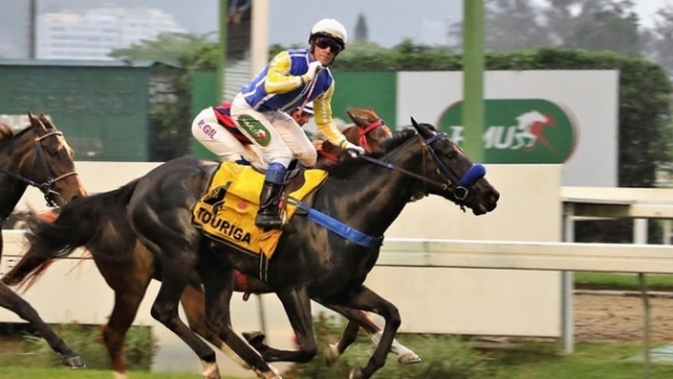 Brasileiro disputa a prova mais importante do turfe sul-americano ...